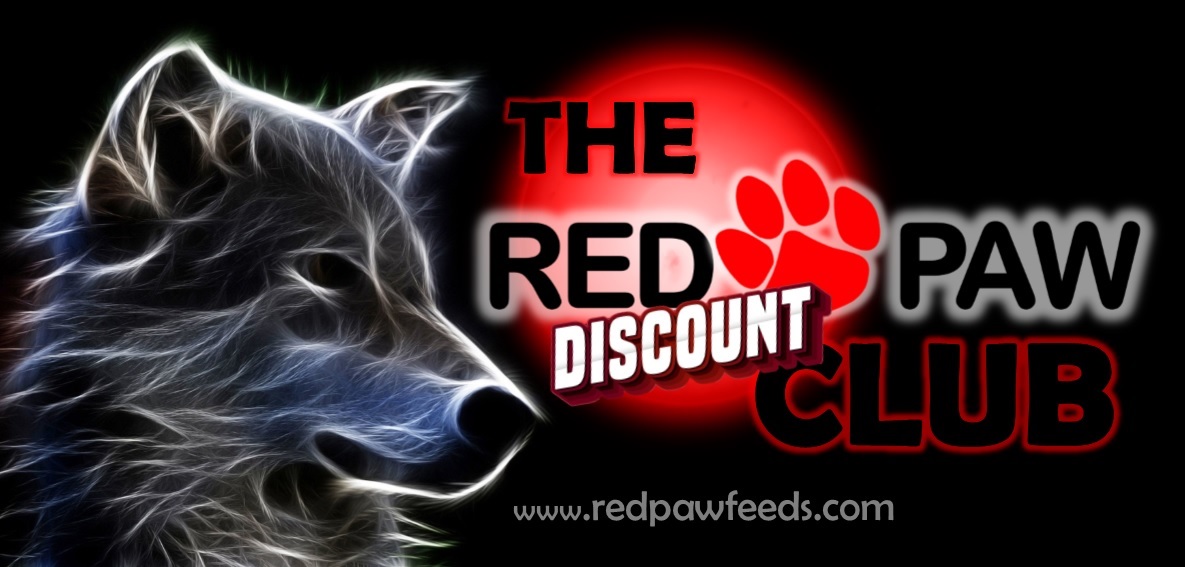 The Discount Club – Dog Food (Kenya)