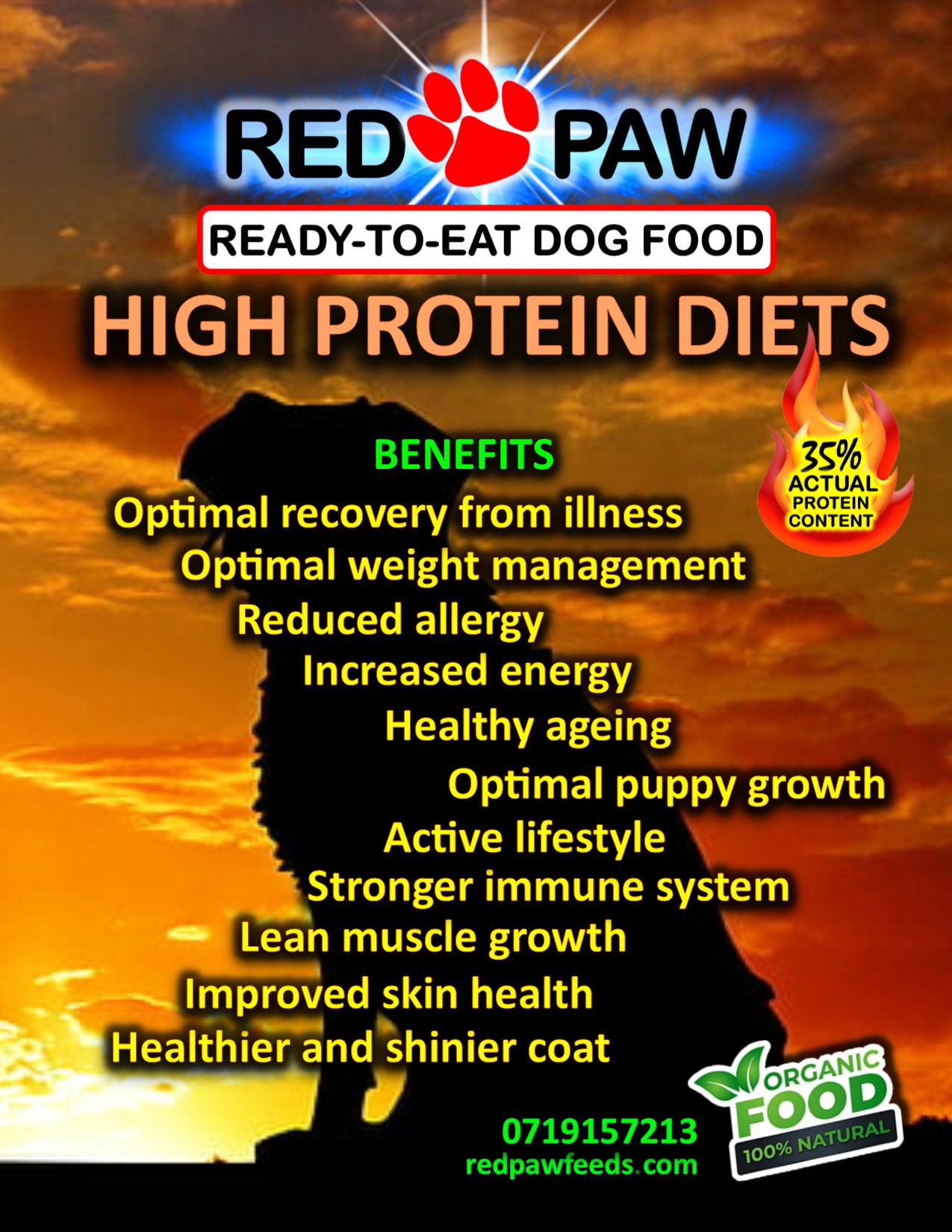 Health & Well-being – Dog & Cat Food (Kenya)